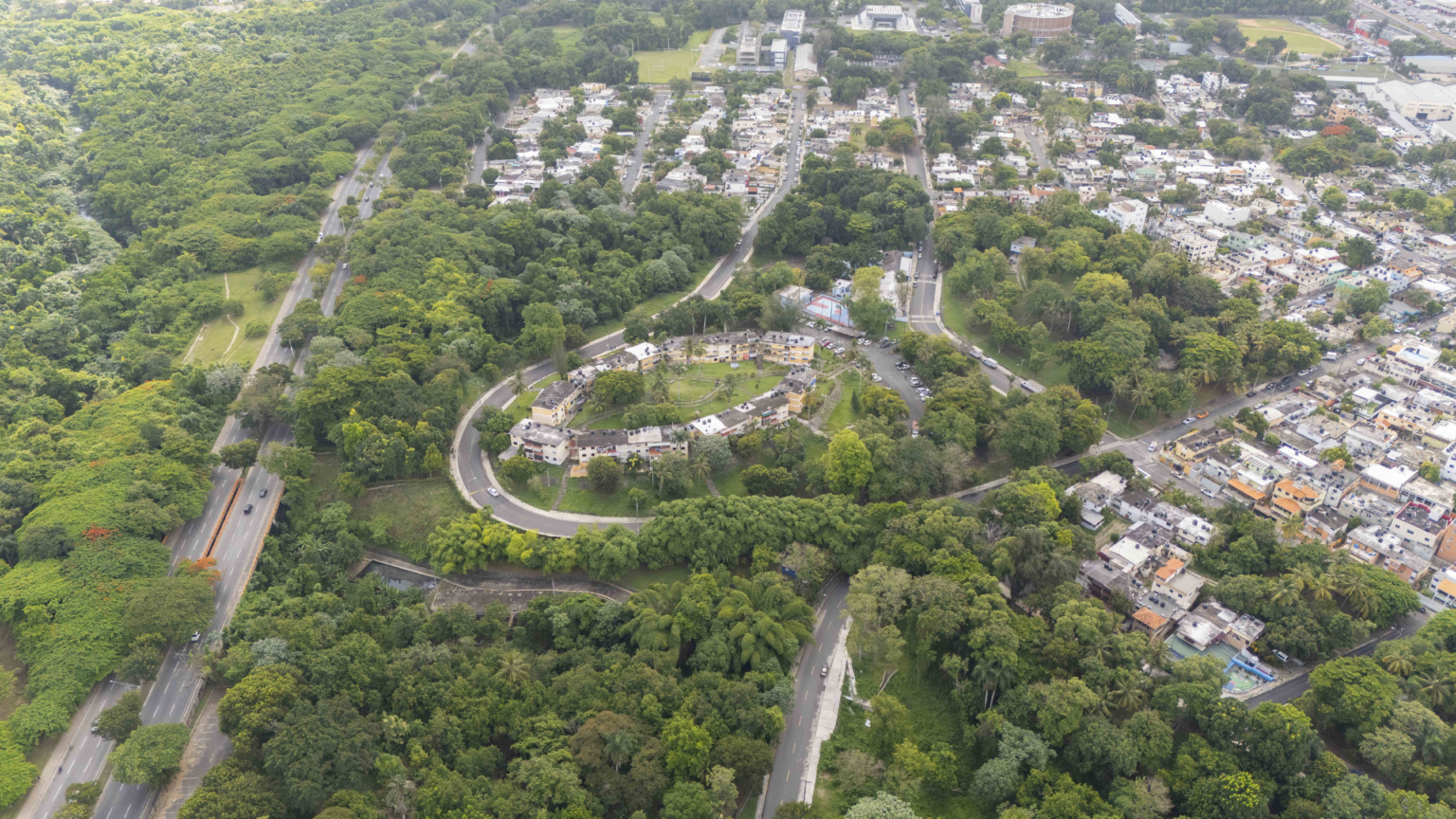 Los Jardines del Norte: un bosque urbano donde los humanos y la ...